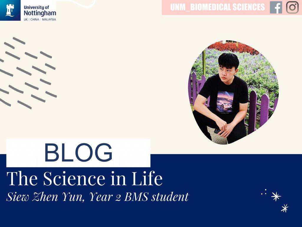 The Science in Life – UNM Biomedical Sciences