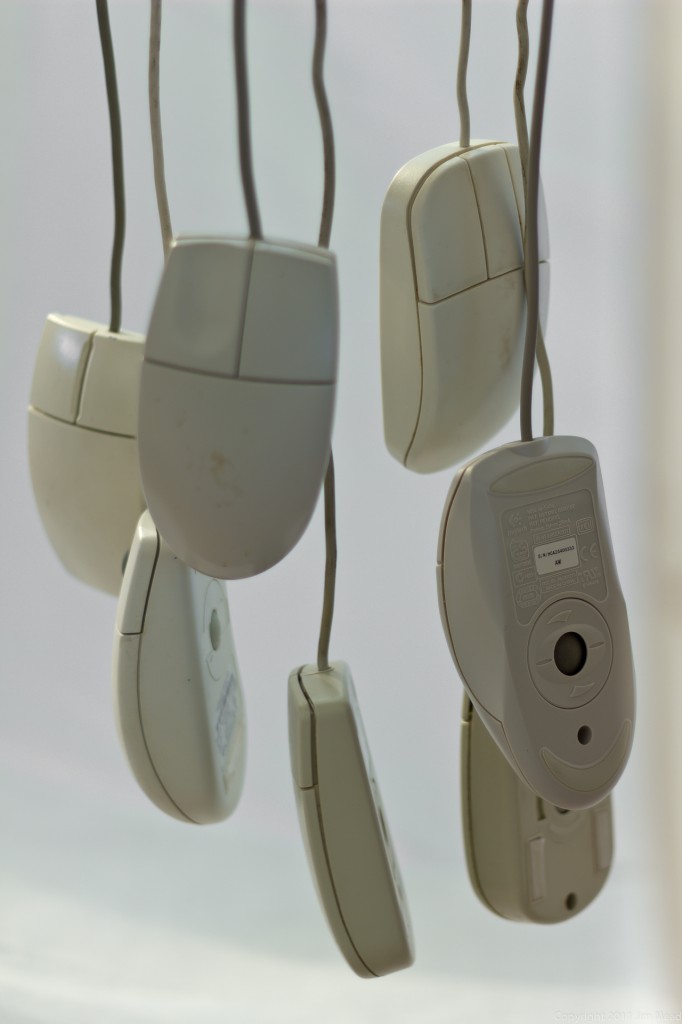 What is the plural of ‘computer mouse’? – Learning English